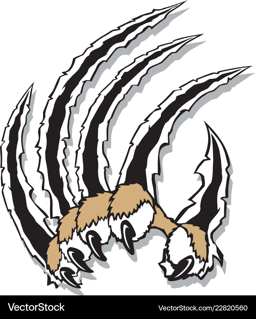 Cat Claw Logo Cat Paw Designs, Themes, Templates And Downloadable