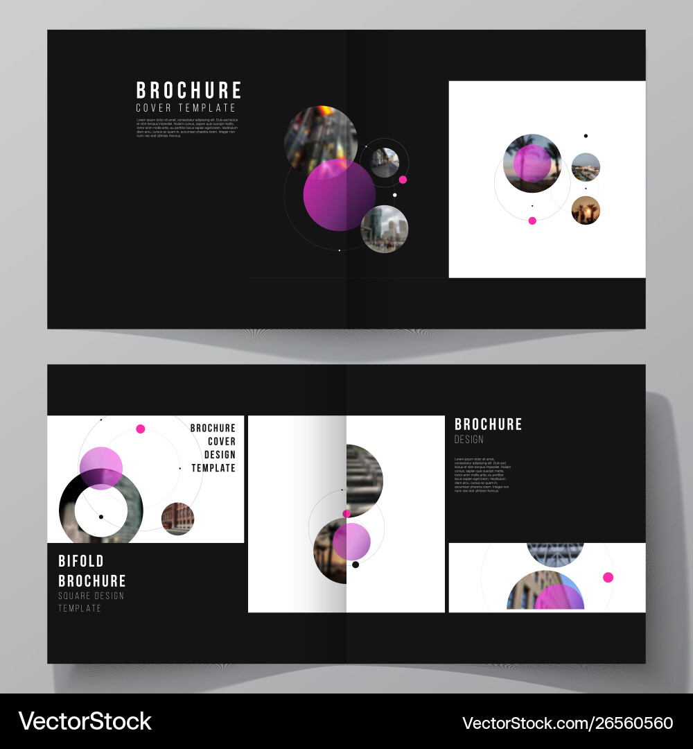 Layout two covers templates for square Royalty Free Vector