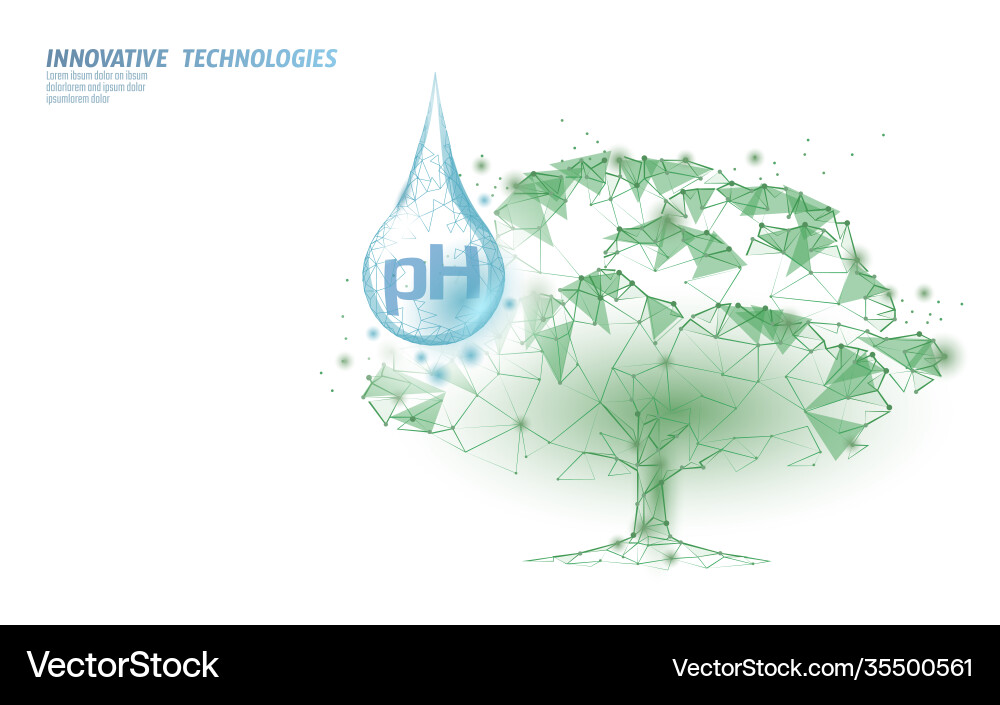 3d low poly plant ph watering concept soil Vector Image