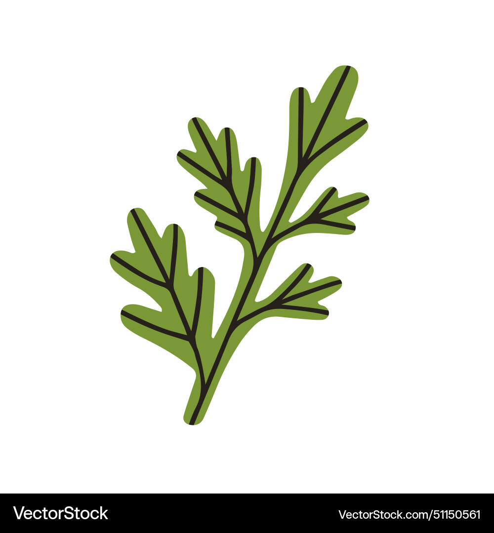 Green leaf floral botanical decor natural Vector Image