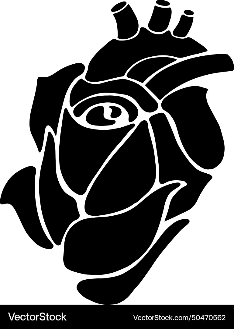 Heart rose hand drawn sketch drawing Royalty Free Vector