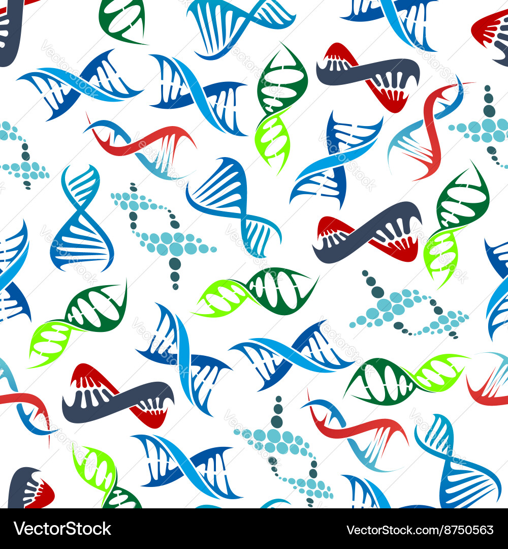Abstract seamless human dna helices pattern Vector Image