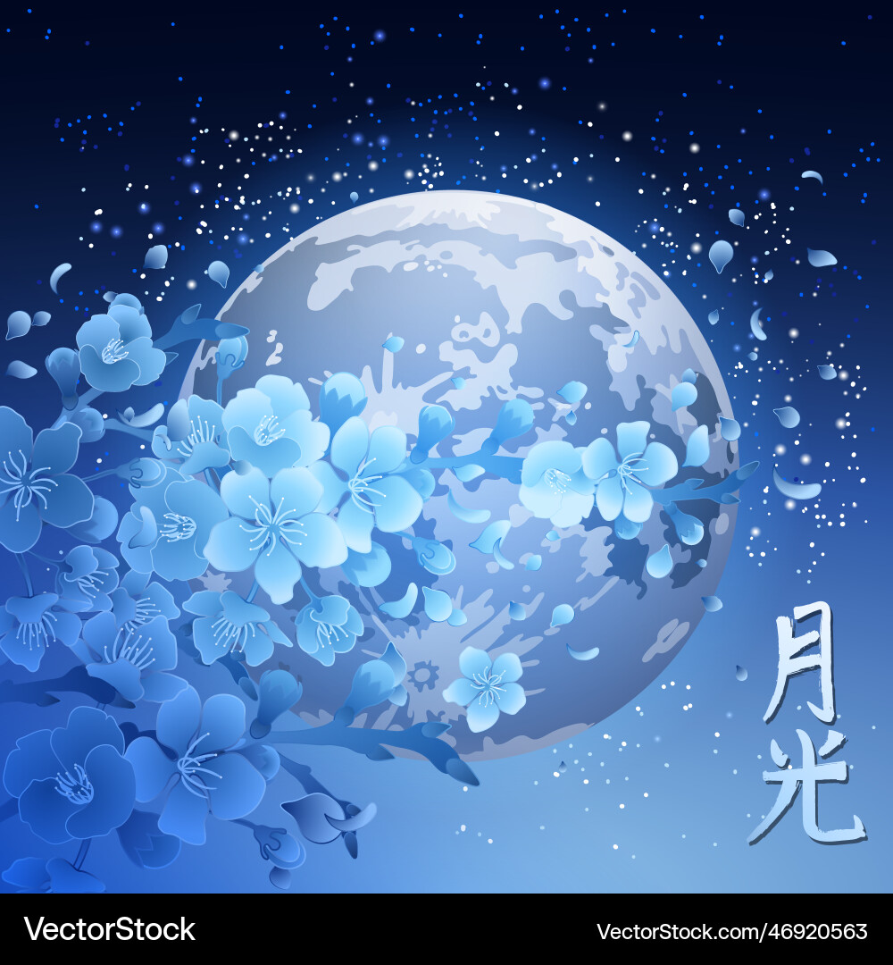 Sakura Blossom Under Moonlit Sky Royalty Free Vector Image