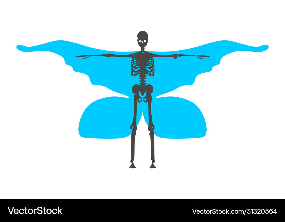 Abstract human skeleton Royalty Free Vector Image