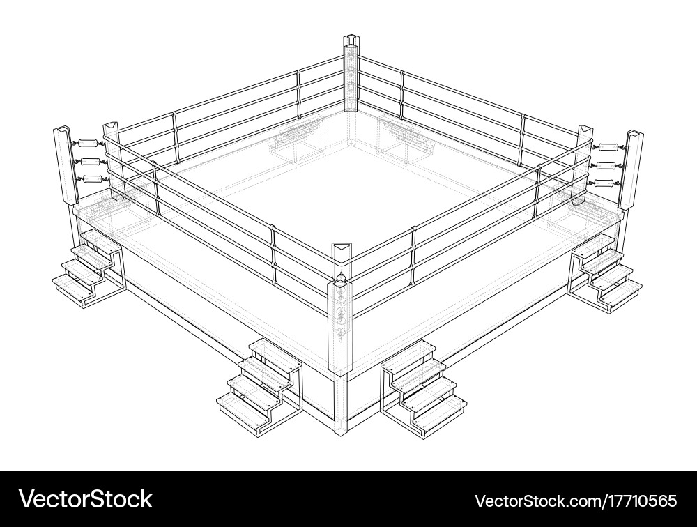 Boxing ring Royalty Free Vector Image - VectorStock