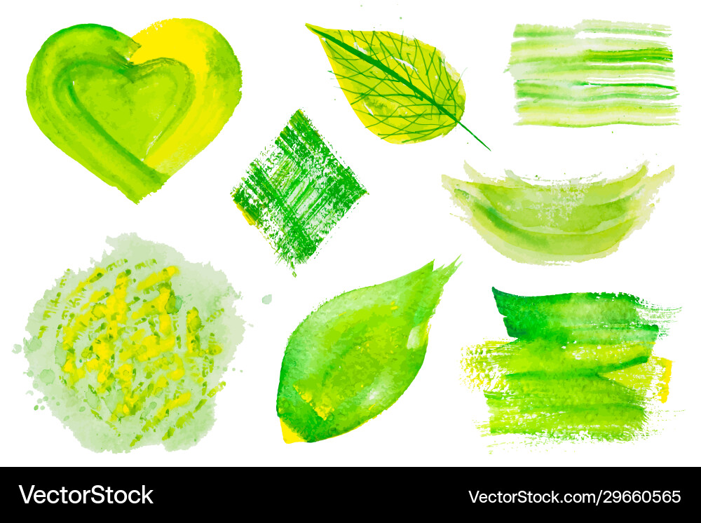 Fresh Green Watercolor Elements Royalty Free Vector Image