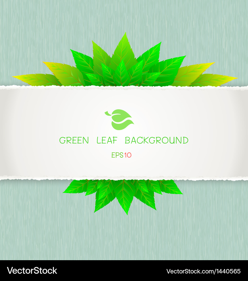 Green leaf with paper background Royalty Free Vector Image