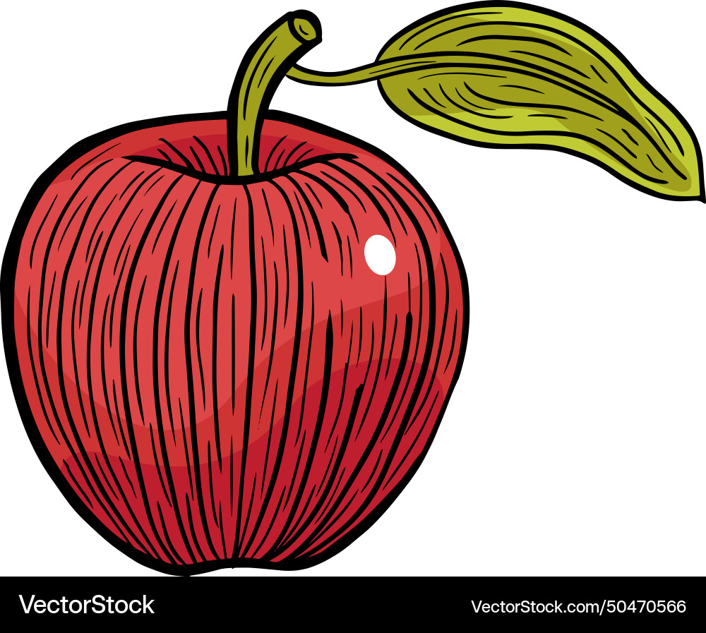 Apple fruit hand drawn engraved sketch drawing Vector Image