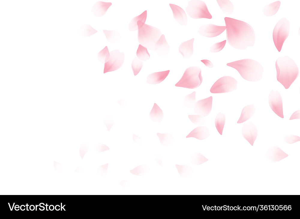 Spring time beautiful background with Royalty Free Vector