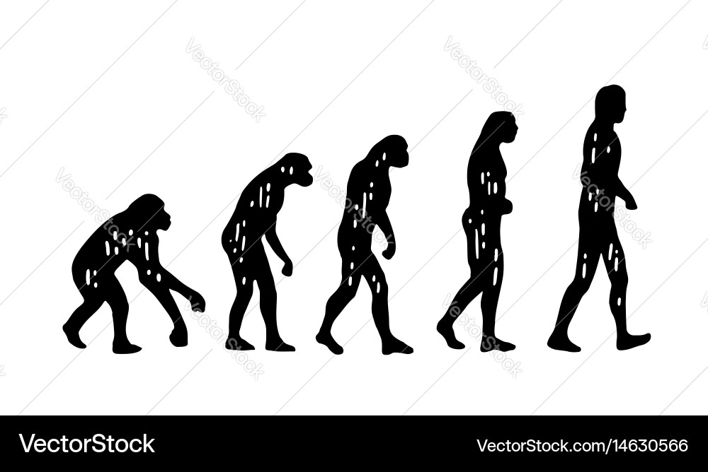 Theory evolution of man from monkey Royalty Free Vector