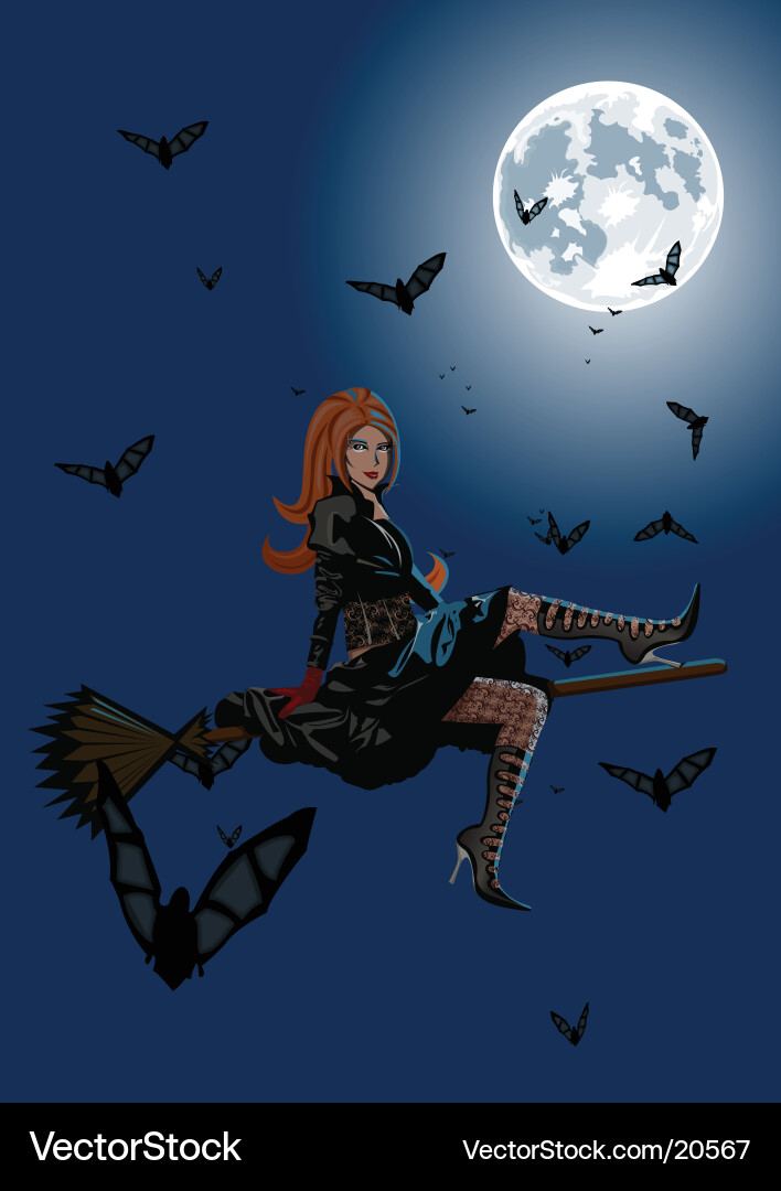 Beautiful witch sitting on broom Royalty Free Vector Image