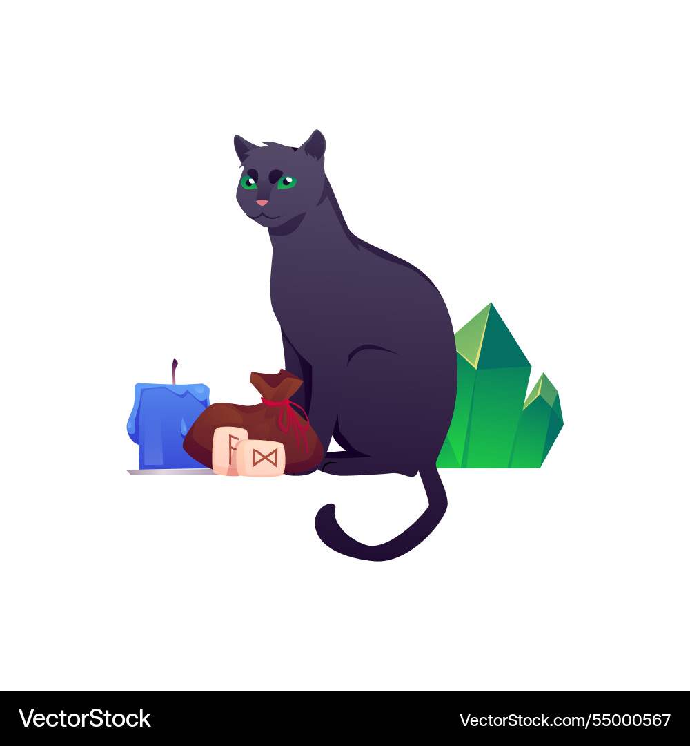 Black cat crystals runes Royalty Free Vector Image