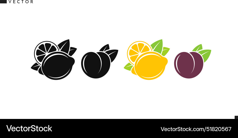 Fresh fruit with leaves Royalty Free Vector Image