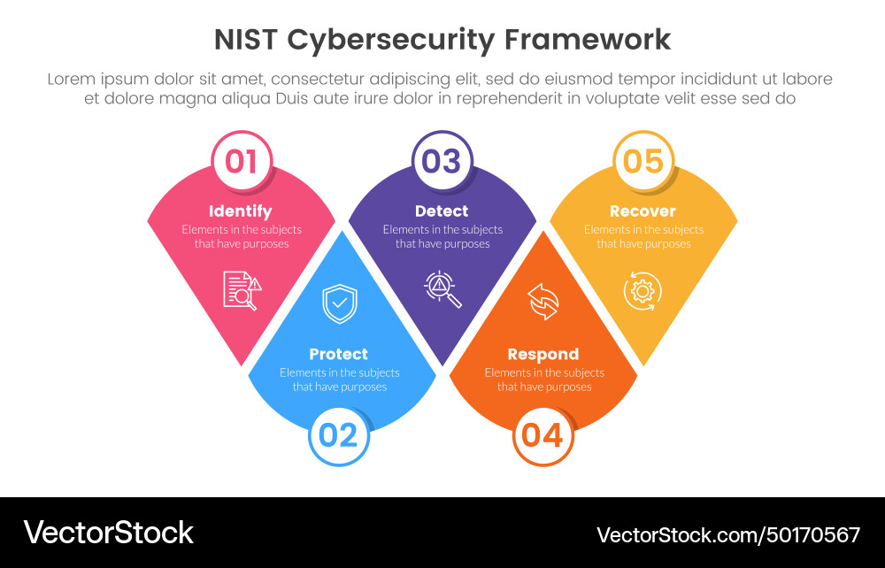 Nist cybersecurity framework infographic 5 point Vector Image