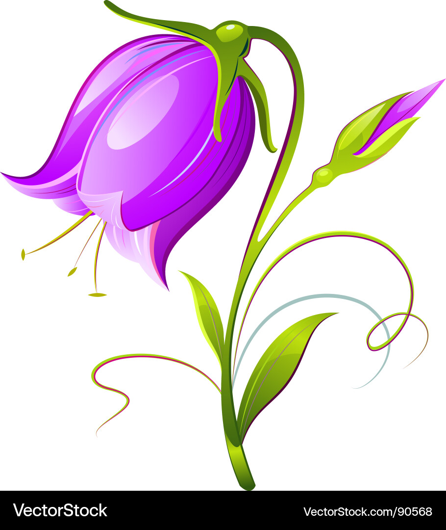 Bell flower Royalty Free Vector Image - VectorStock