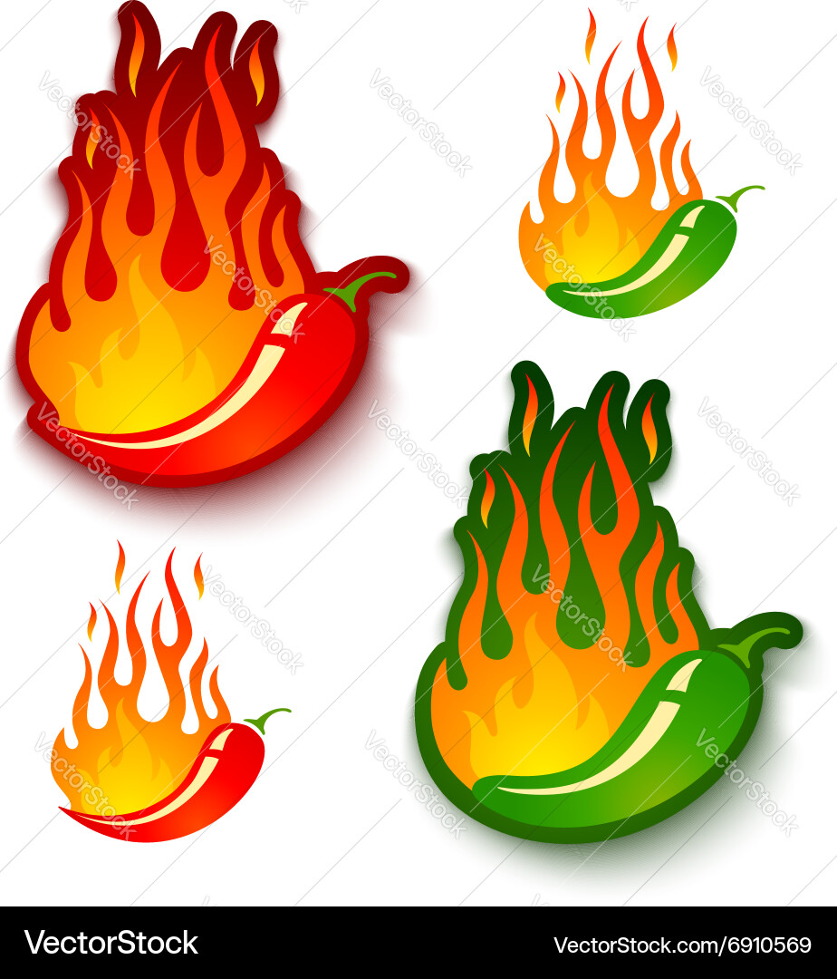 Jalapeno and chili Royalty Free Vector Image - VectorStock