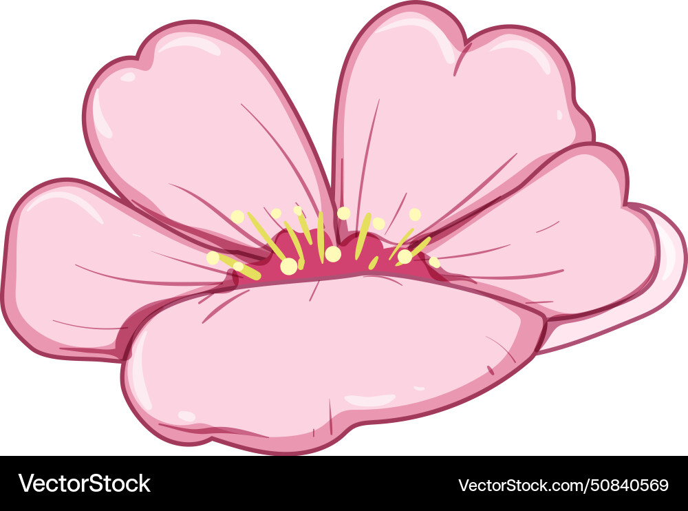 Japan sakura cherry blossom cartoon Royalty Free Vector