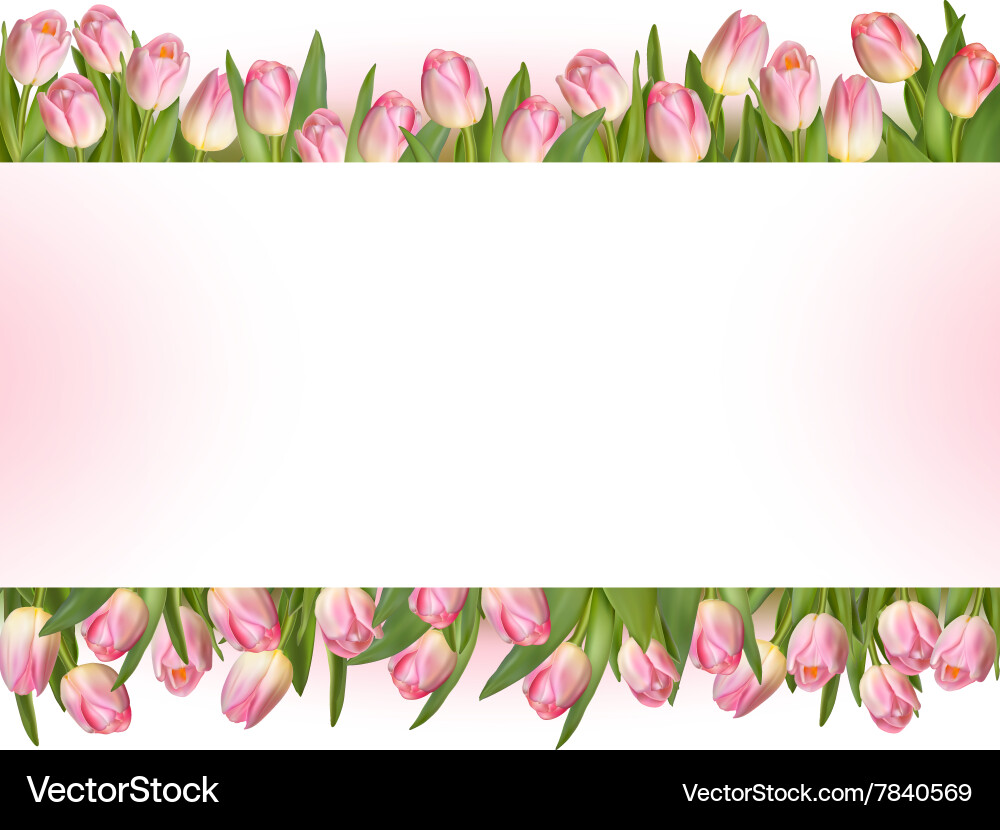 Tulips design template or background eps 10 Vector Image