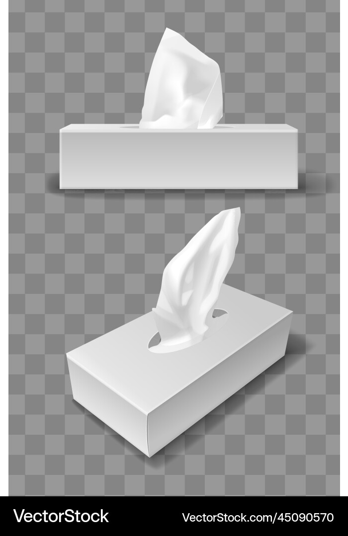 Tissue packaging mockup Royalty Free Vector Image