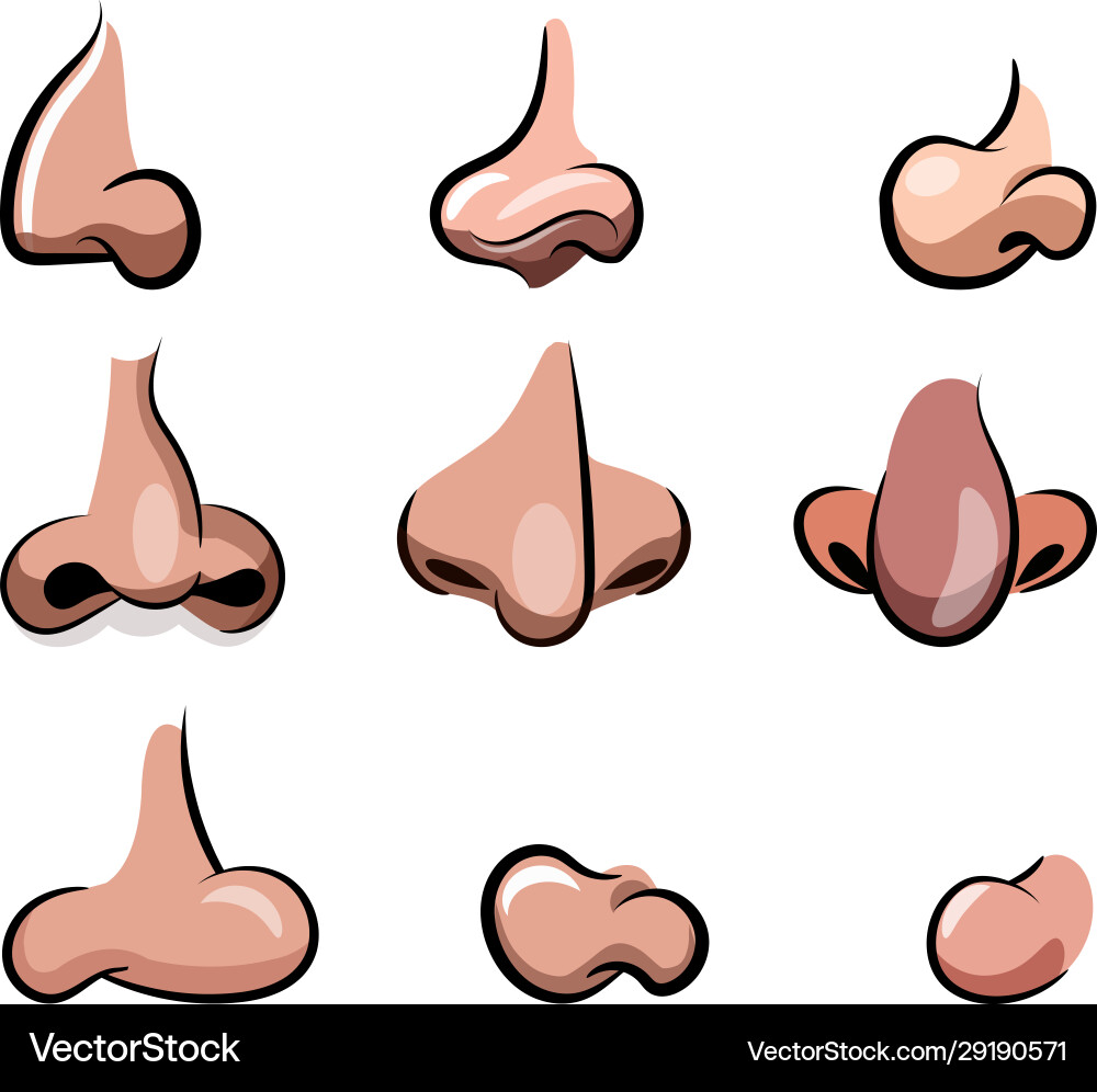 Nose cartoon set for character animation Vector Image