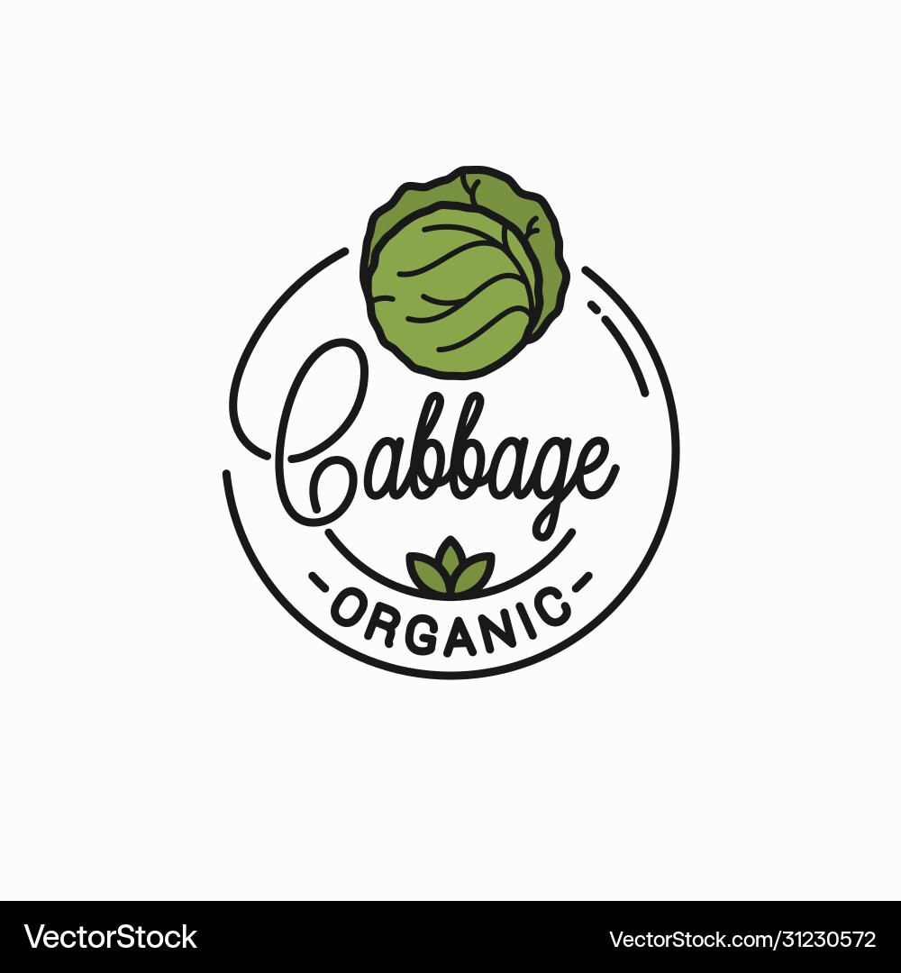 Cabbage vegetable logo round linear green Vector Image