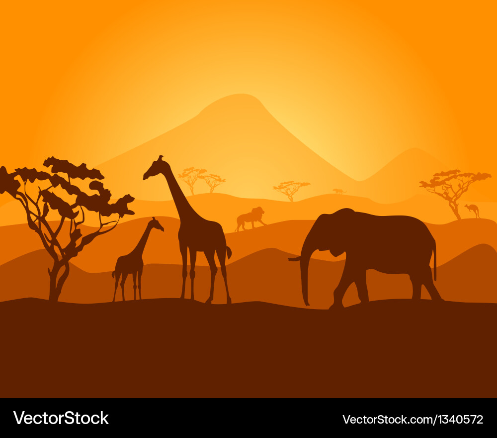 Safari Royalty Free Vector Image - VectorStock