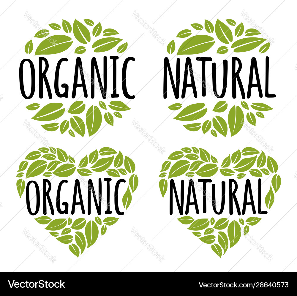 Organic natural handwriting lettering with leaf Vector Image