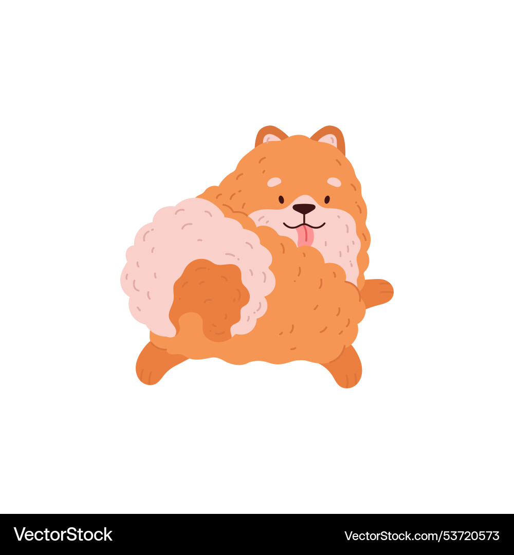 Pomeranian spitz little puppy Royalty Free Vector Image