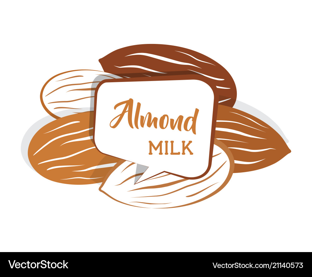 Raw almond nut set in various color milk Vector Image