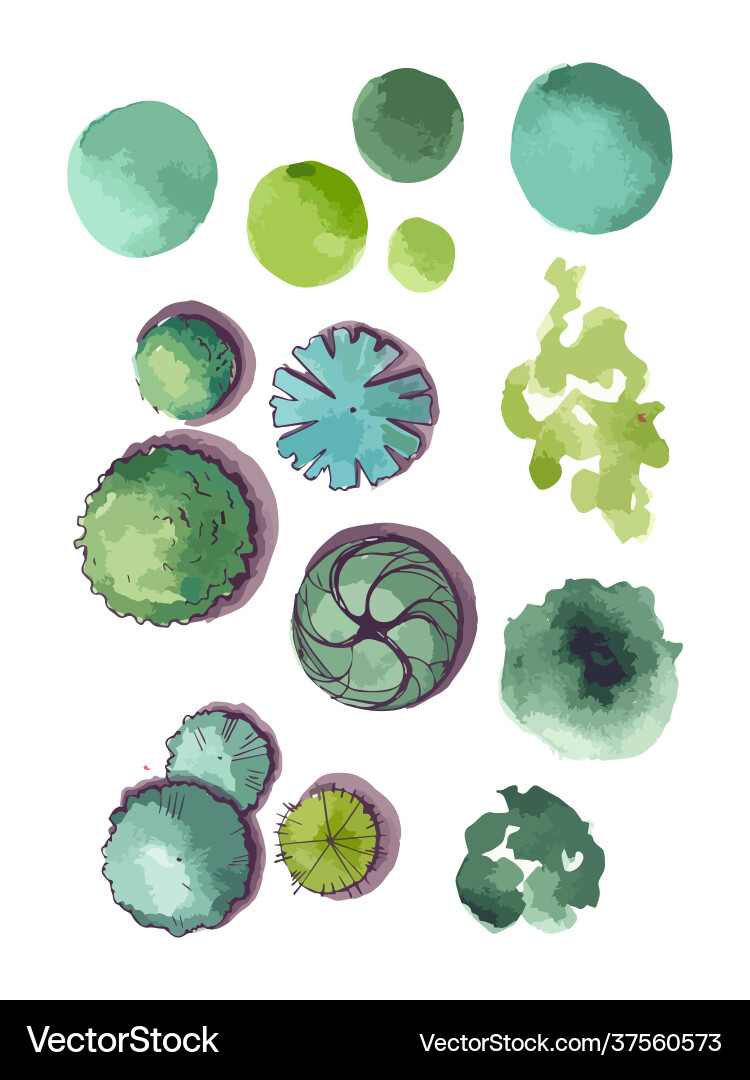Trees top view Royalty Free Vector Image - VectorStock