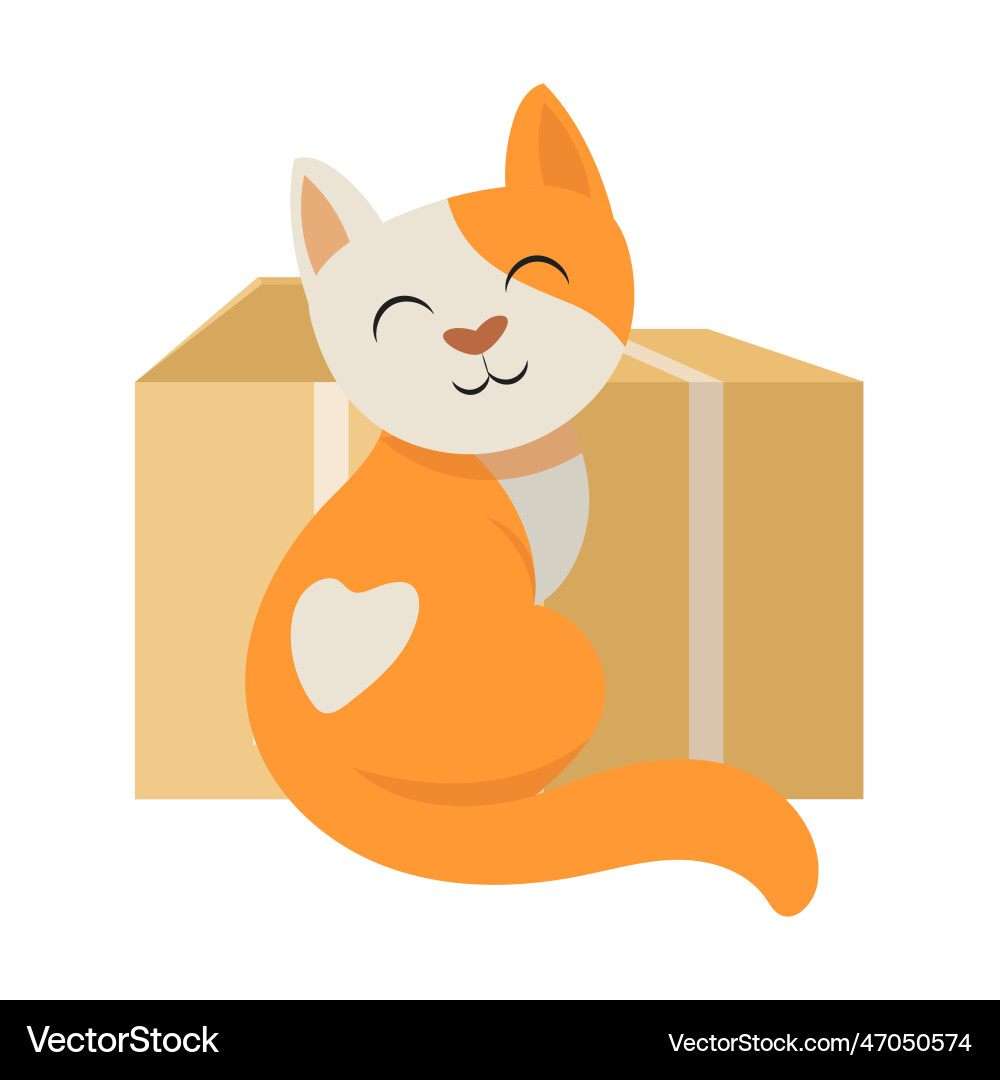 Cat with box cartoon visual Royalty Free Vector Image