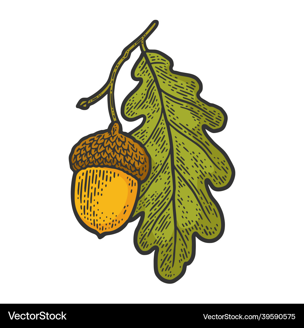 Oak Leaf And Acorn Drawing Oak Leaf Acorn Seamless Background