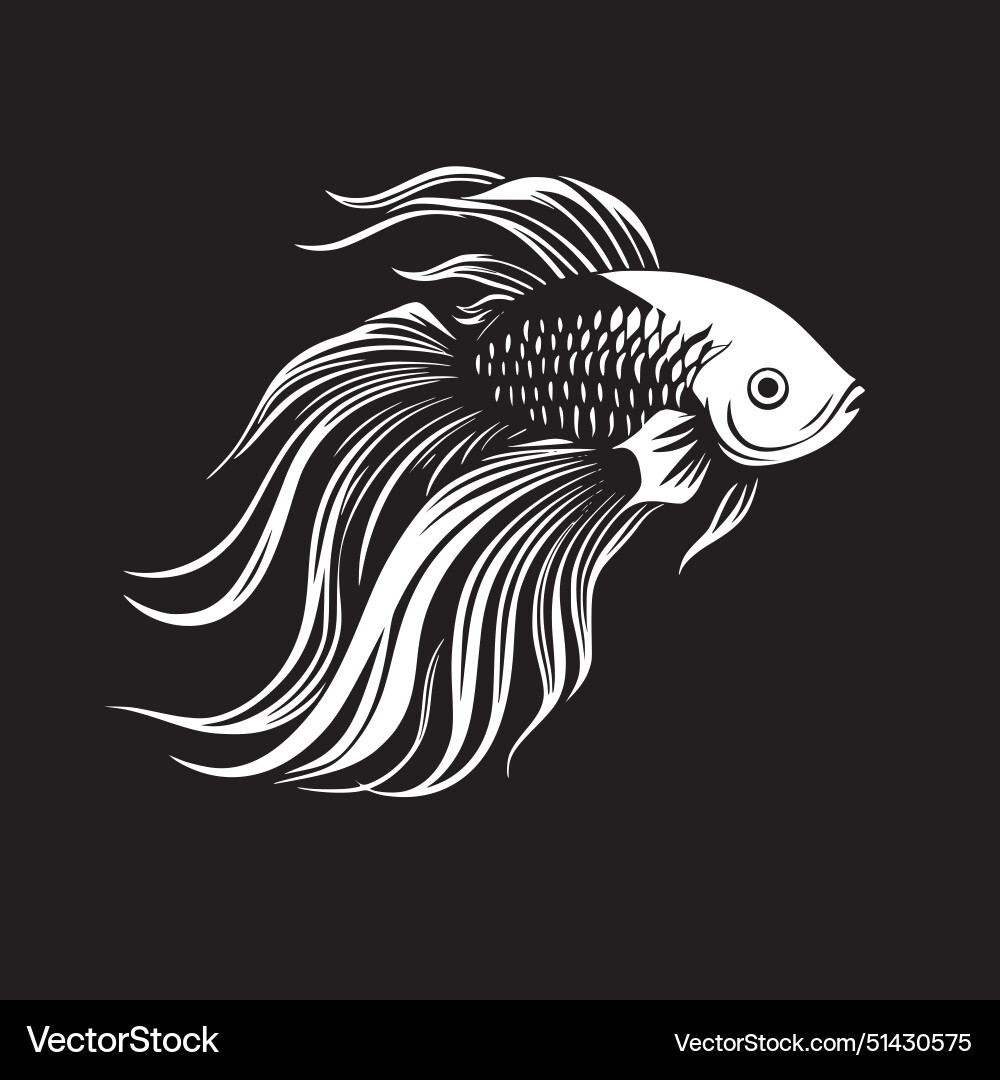 Betta fish - black and white isolated icon Vector Image