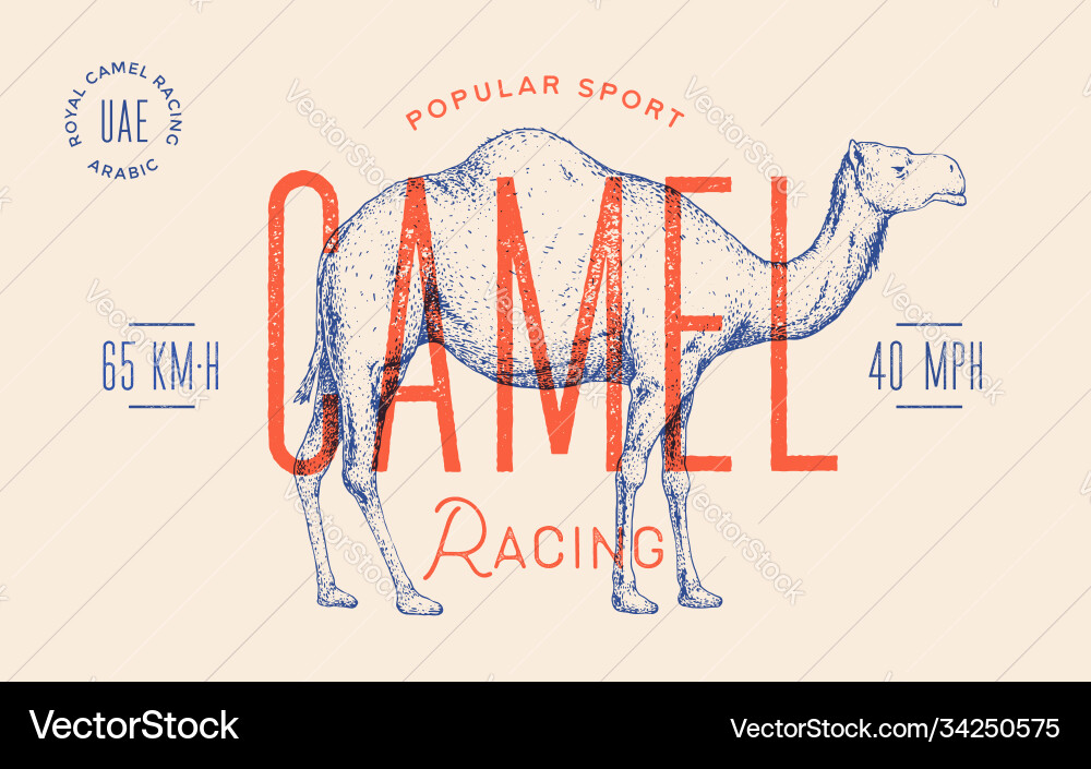 Camel template label vintage retro print Vector Image