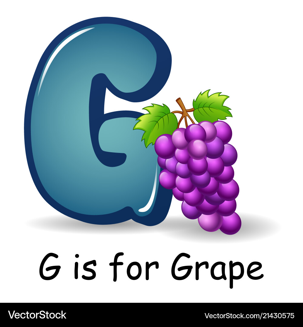 Fruit alphabet g is for grape Royalty Free Vector Image