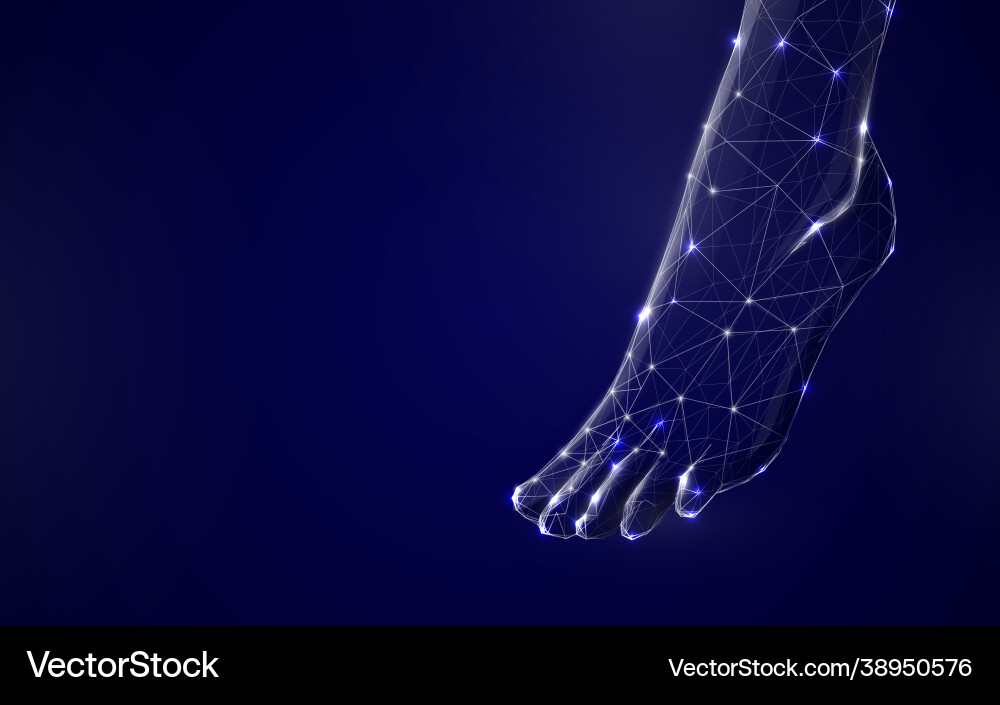 3d human feet from lines triangles and particle Vector Image