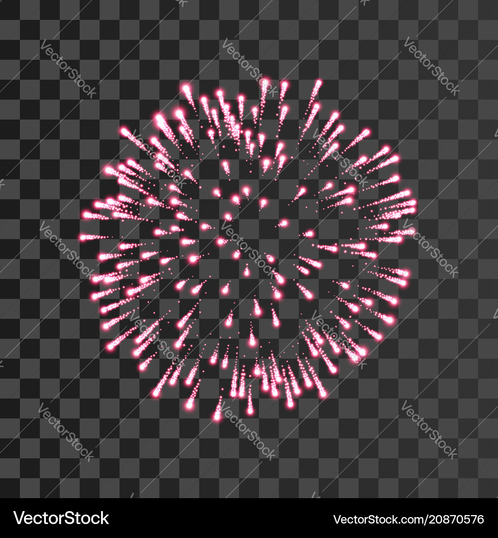 Firework pink bursting isolated transparent Vector Image