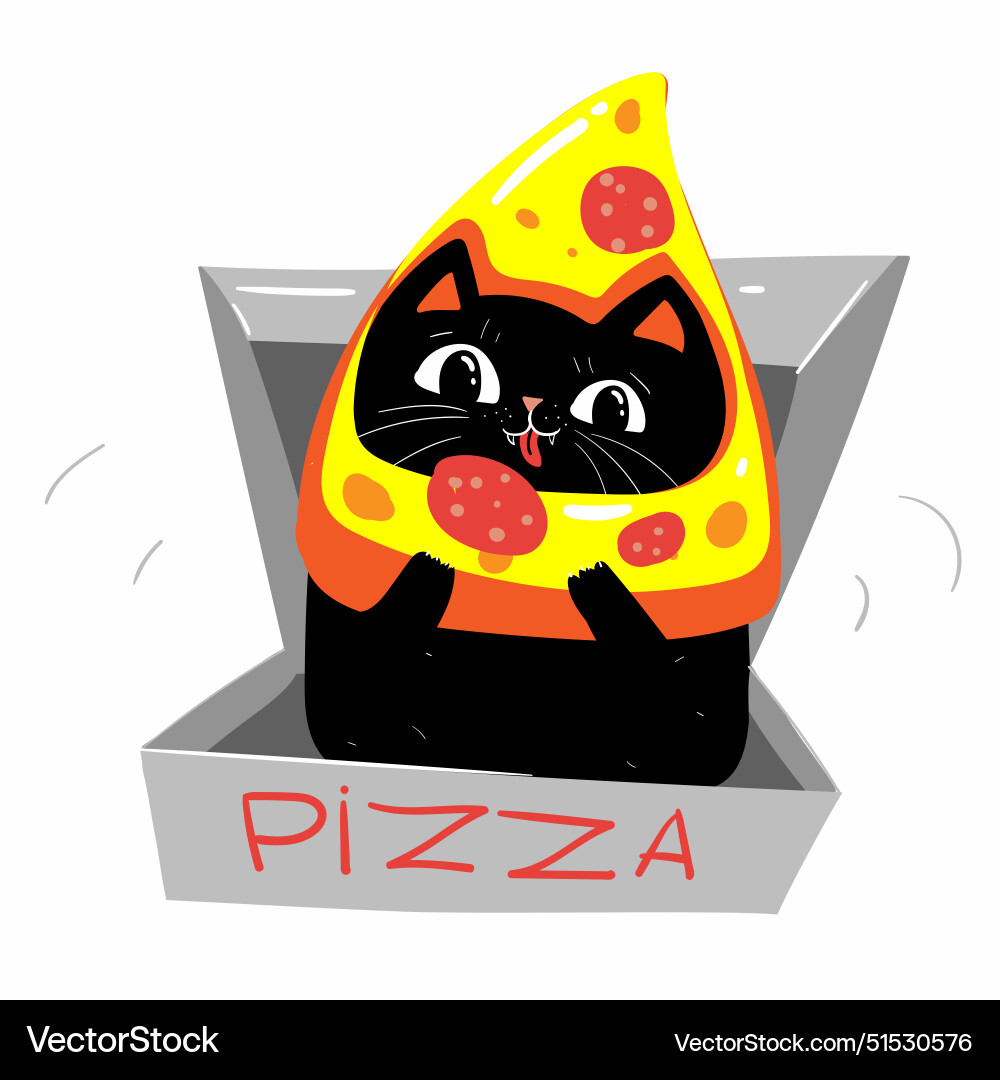 Funny cat in a box from under the pizza fat Vector Image