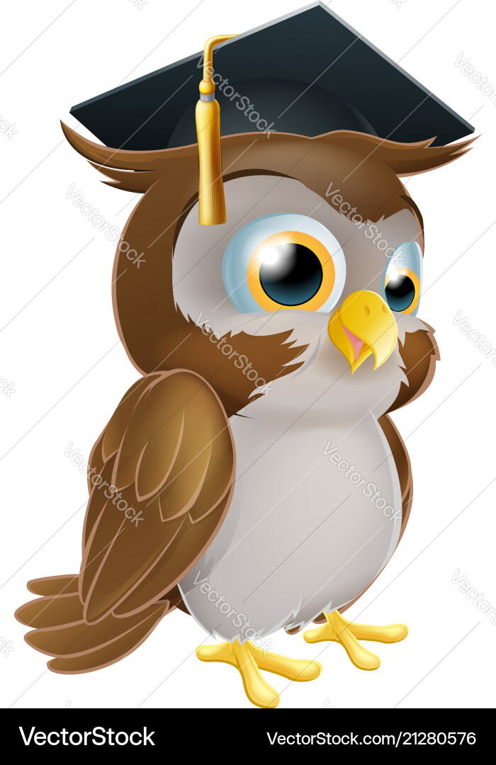 Graduate owl Royalty Free Vector Image - VectorStock