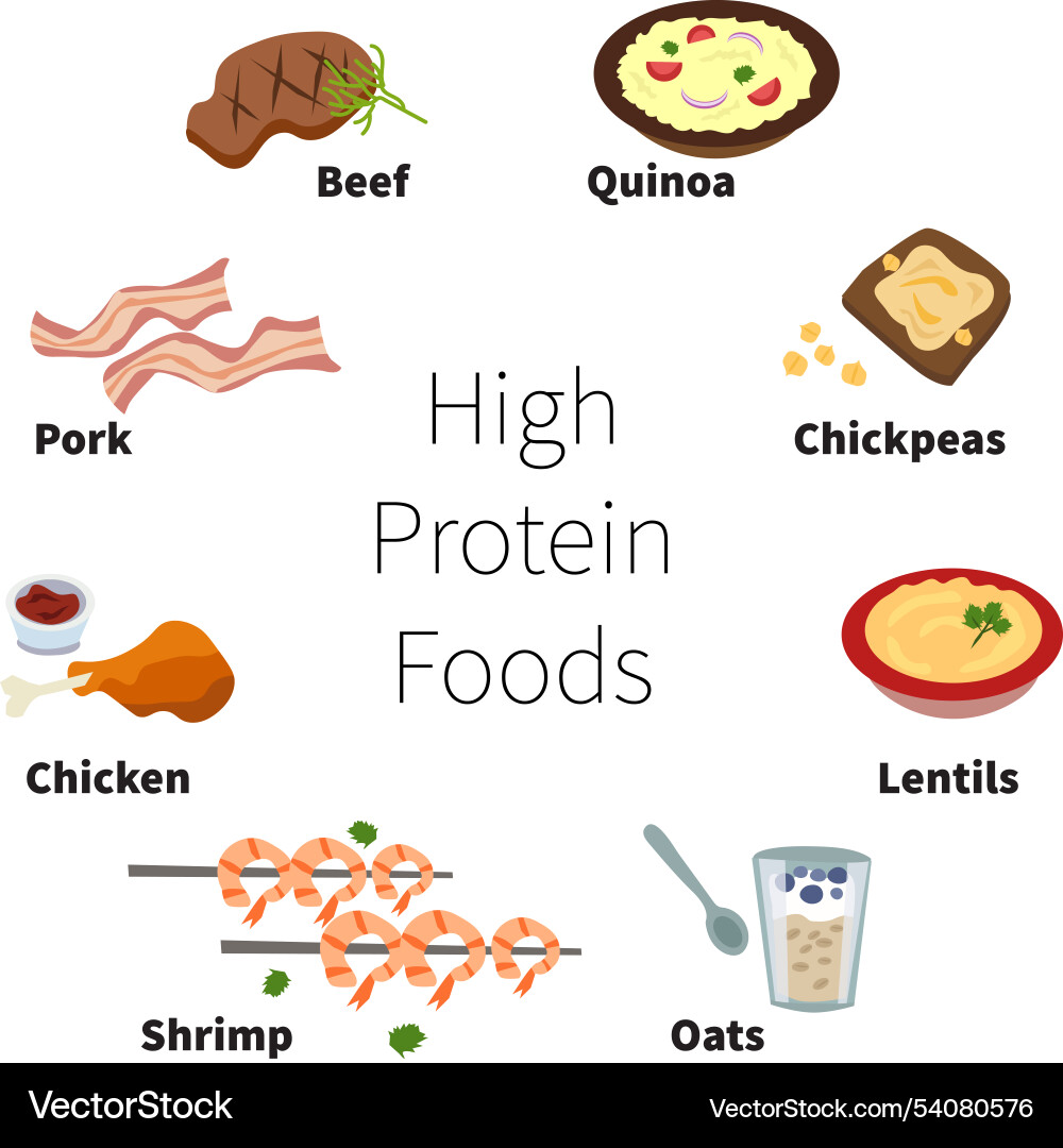 High protein foods Royalty Free Vector Image - VectorStock