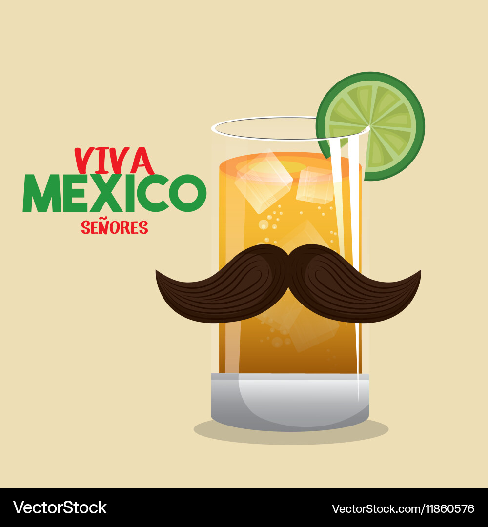 Viva mexico Poster-Symbol Lizenzfreies Vektorbild