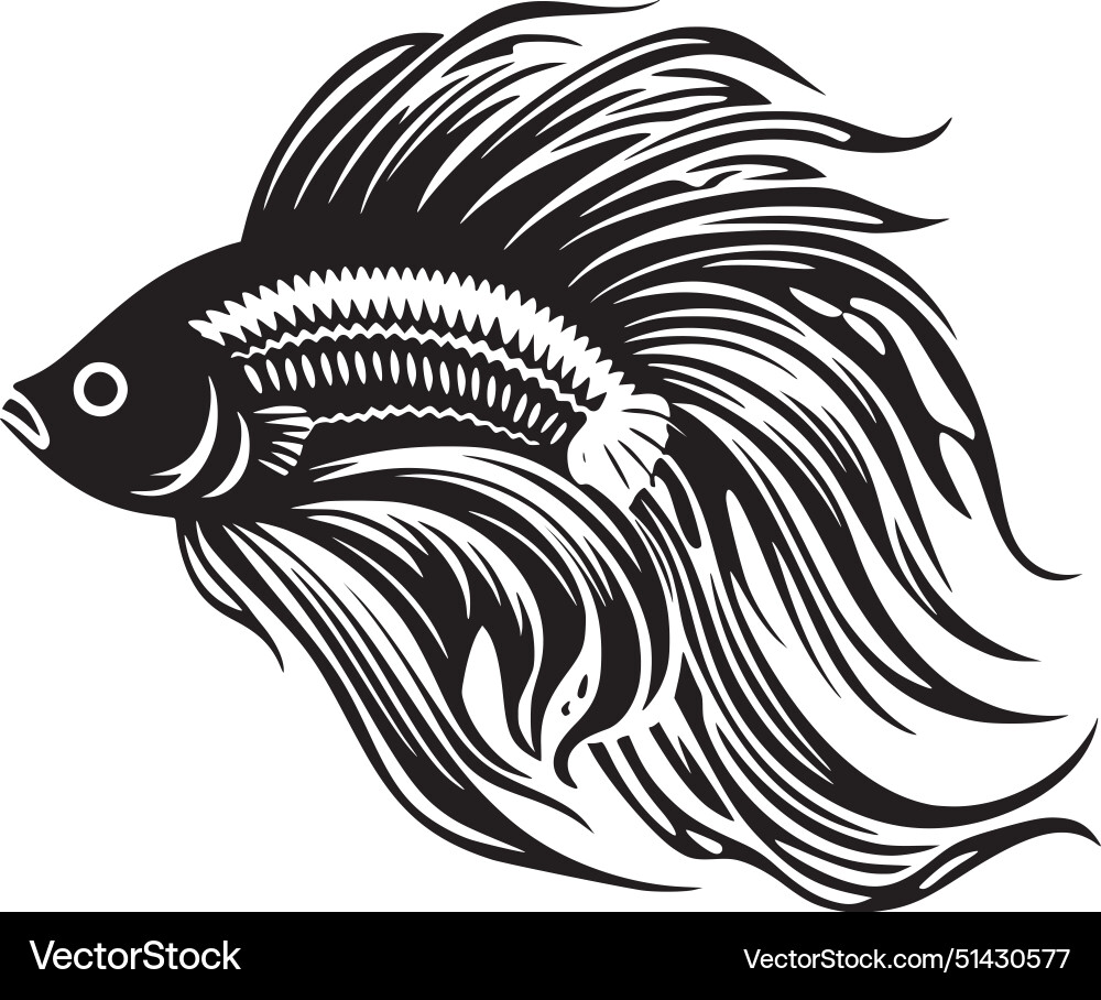 Betta fish - black and white isolated icon Vector Image