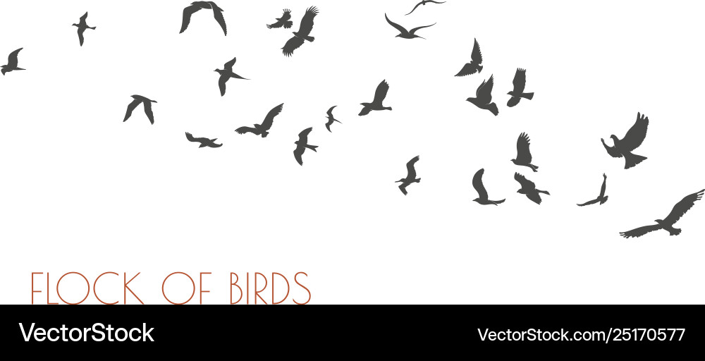 Figures flock flying birds on white Royalty Free Vector