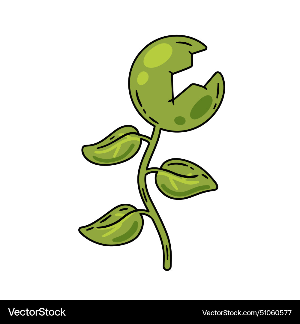 Predatory plant Royalty Free Vector Image - VectorStock
