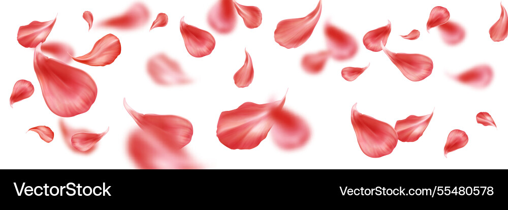 Red rose petals floating in air Royalty Free Vector Image