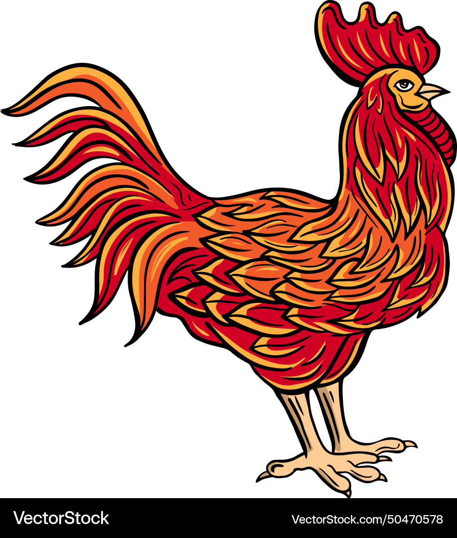 Rooster hand drawn engraved sketch drawing Vector Image