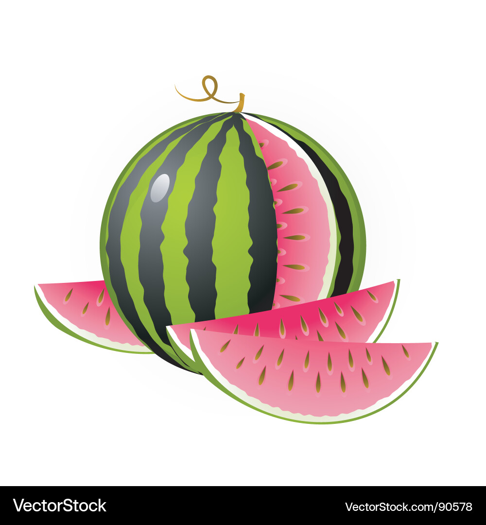 Watermelon Royalty Free Vector Image - VectorStock