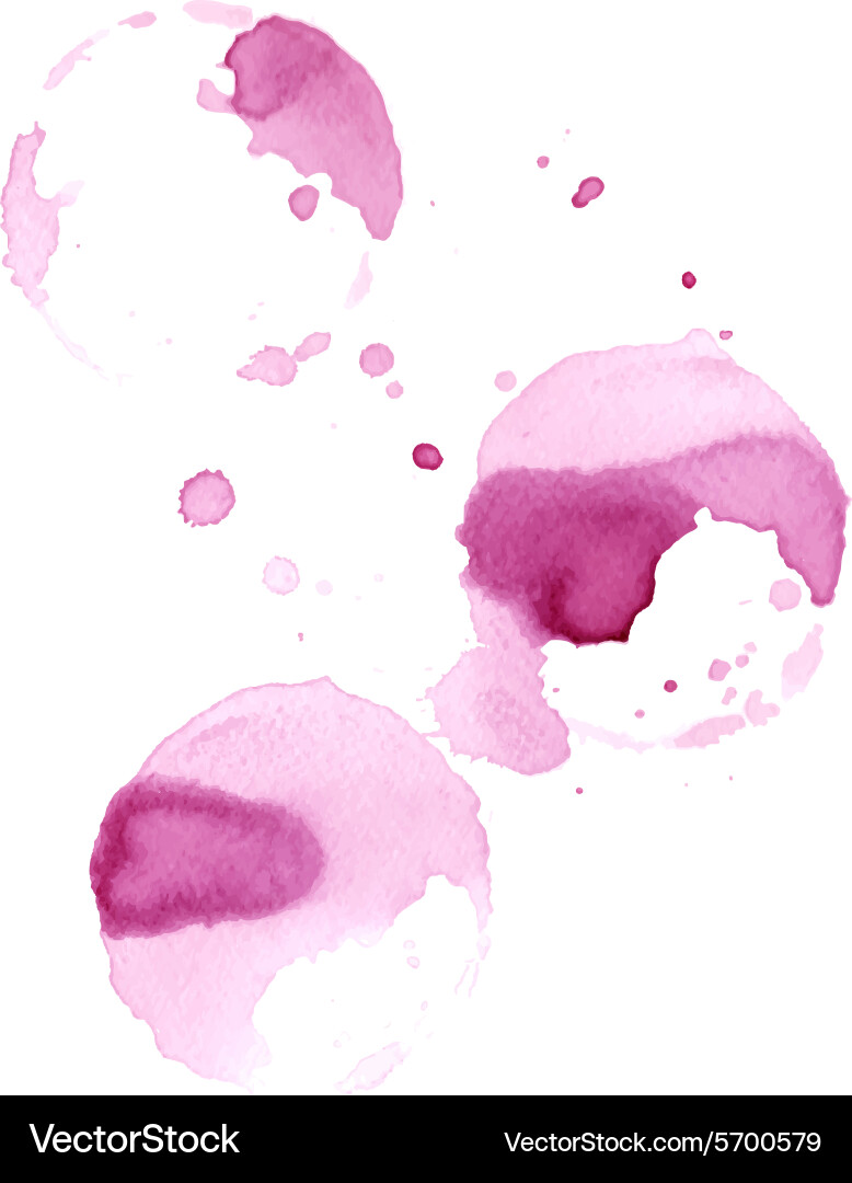 Wine Stain Splash Royalty Free Vector Image - VectorStock