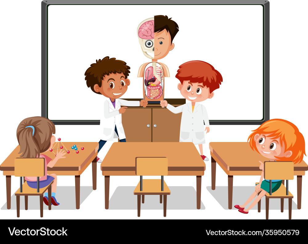 Young students explaining human anatomy Royalty Free Vector