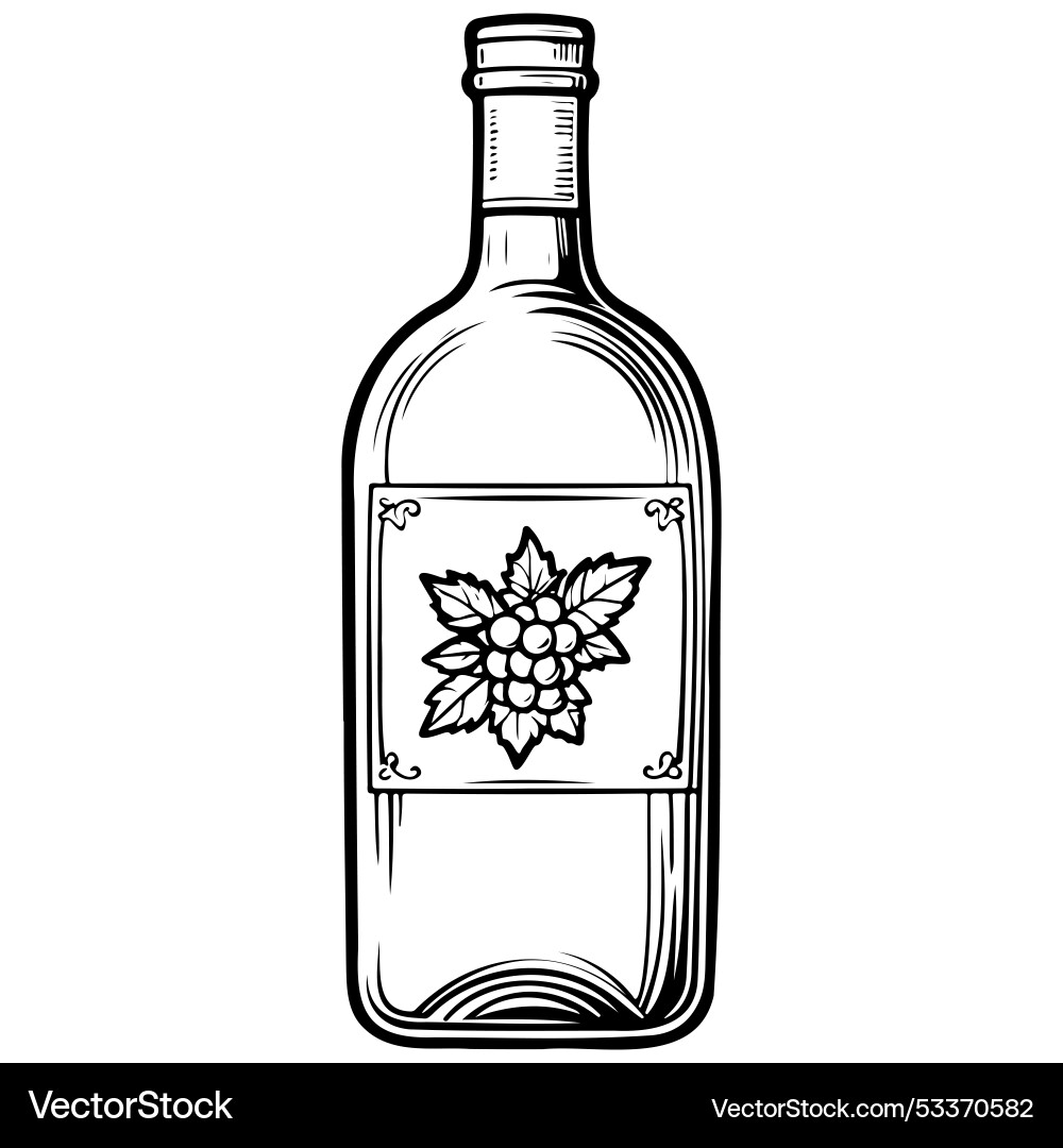 Cartoon wine bottle drawing vintage line image Vector Image